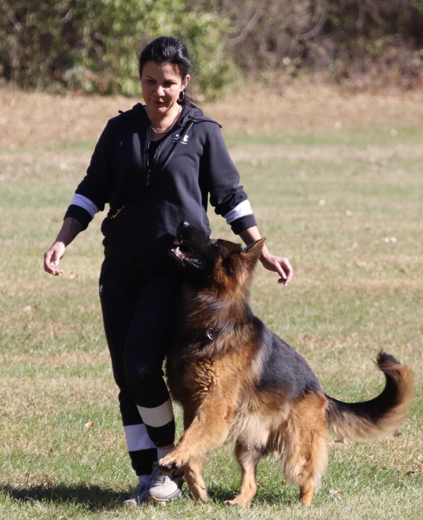 Sport Dog Training - Noble K9 Training